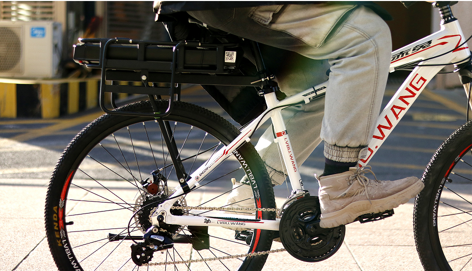 Lvbu BZ series electric bike conversion kit--let you enjoy long ...