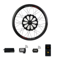 LvBu Electric Bicycle Kits : Let Passion Flourish from Within!-Lvbu ...