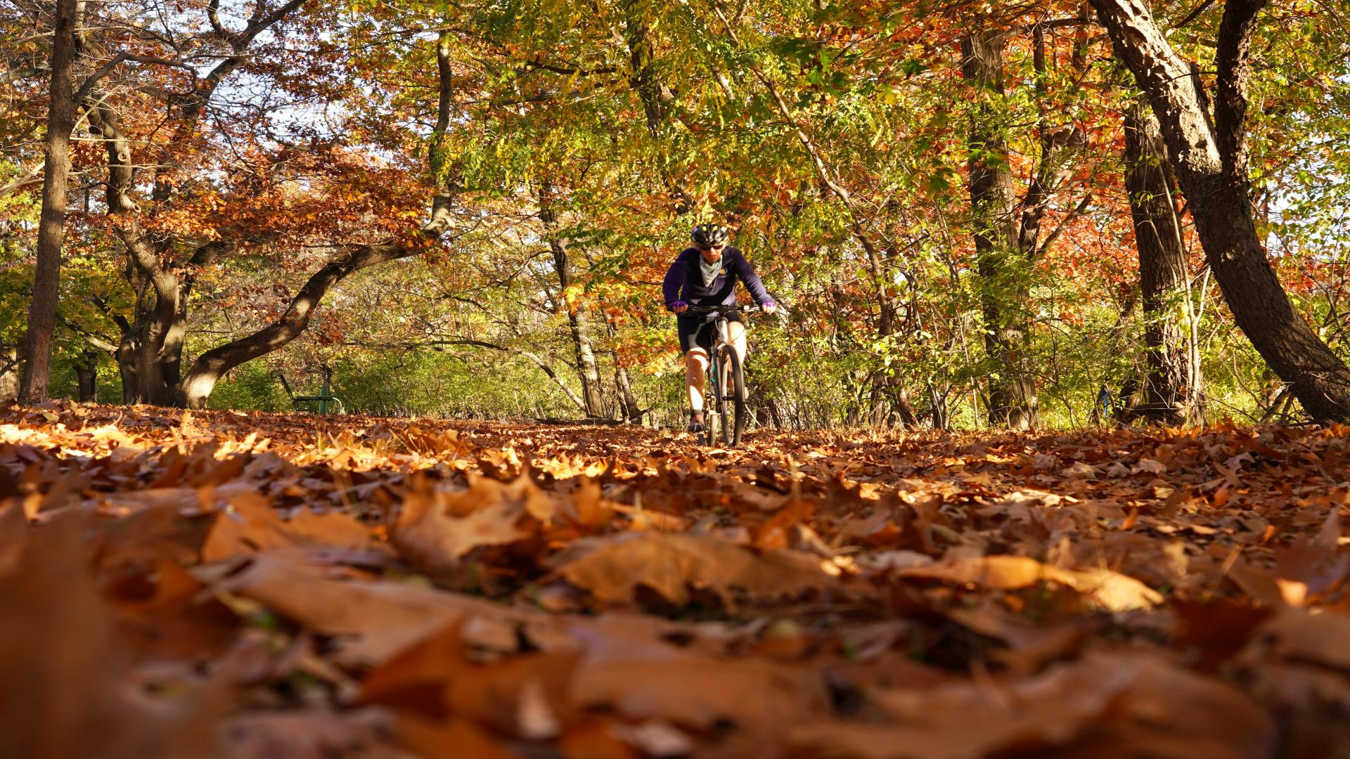 Autumn Cycling: Embrace the Golden Feast of Nature-Lvbu ebike kit ...